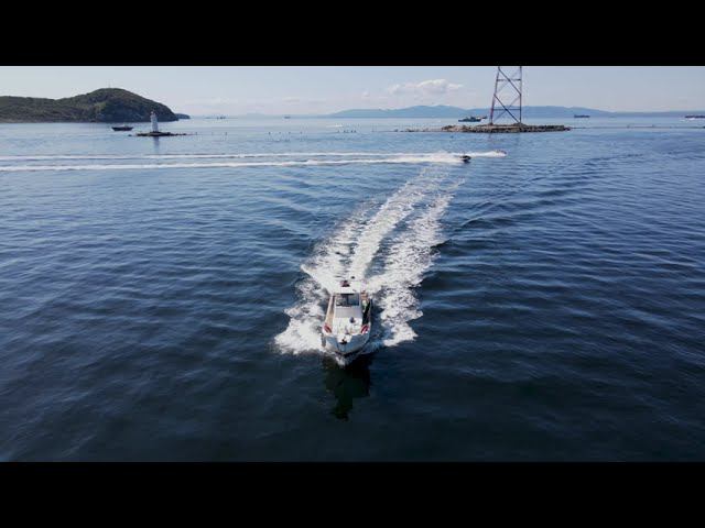 Владивосток сентябрь 2023