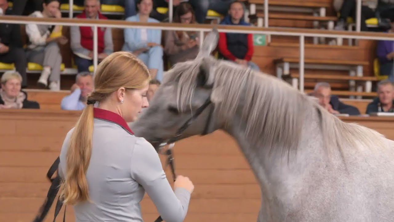 Ставка ХХI аукциона МКЗ№1