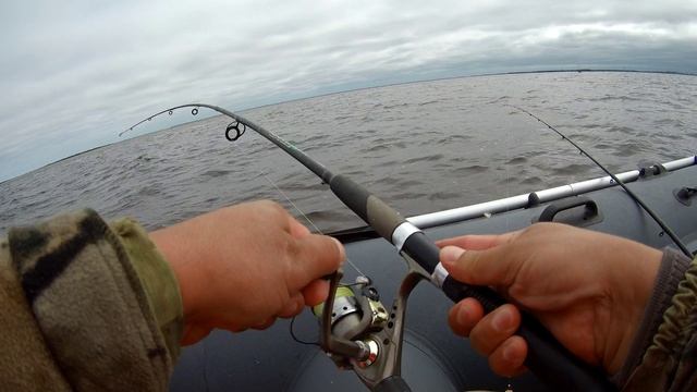 За камбалой. 07.2022