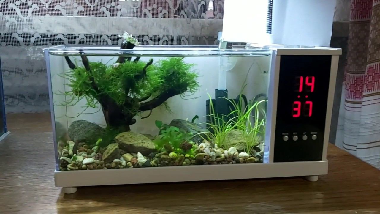 Ответы на вопросы.