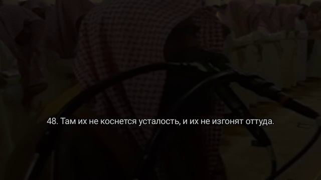 Сура 15. Аль-Хиджр. Мухаммад аль люхайдан. Рамадан, таравих намаз