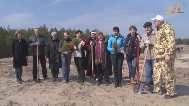 Подари лес потомкам! 2015