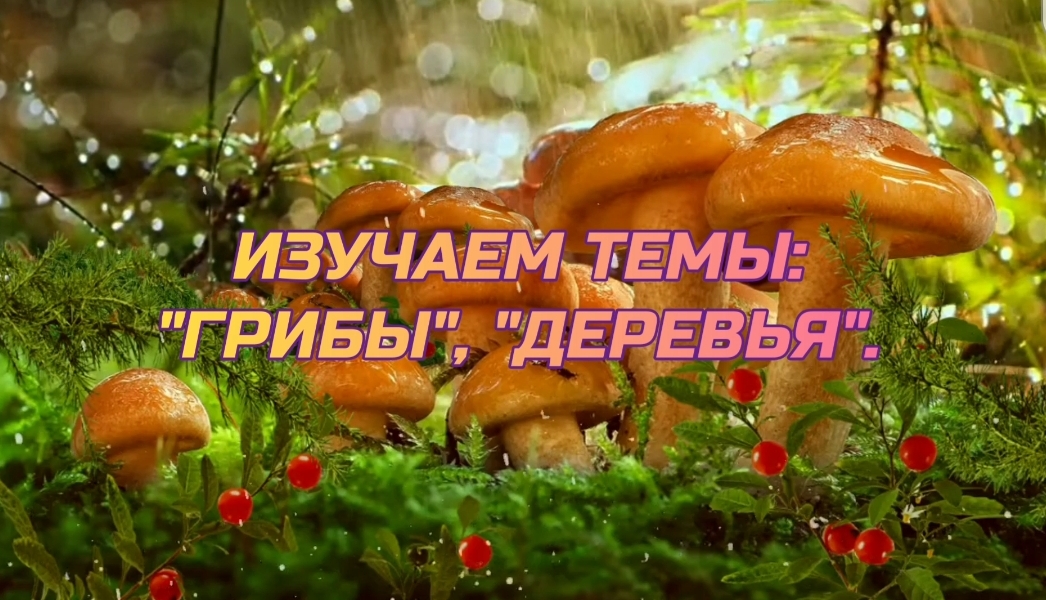 Грибы. Деревья.