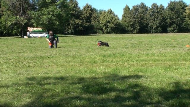 Кубок Клуба. Татьяна и Чижик..mp4