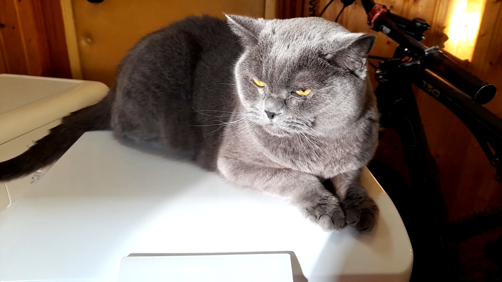 Крупная Покупка ! Что муж натворил ? Первый раз пробуем ???