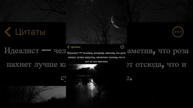 Цитата 7