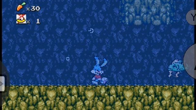 Играю в Tiny toon водный тур. Удачная попытка.