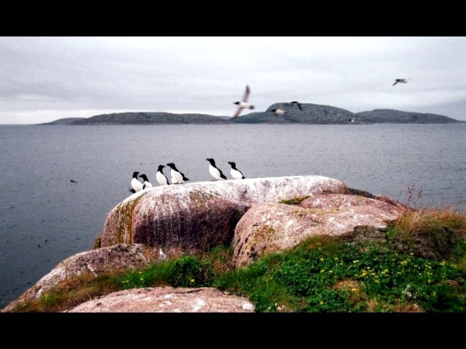 Долго будет Карелия сниться