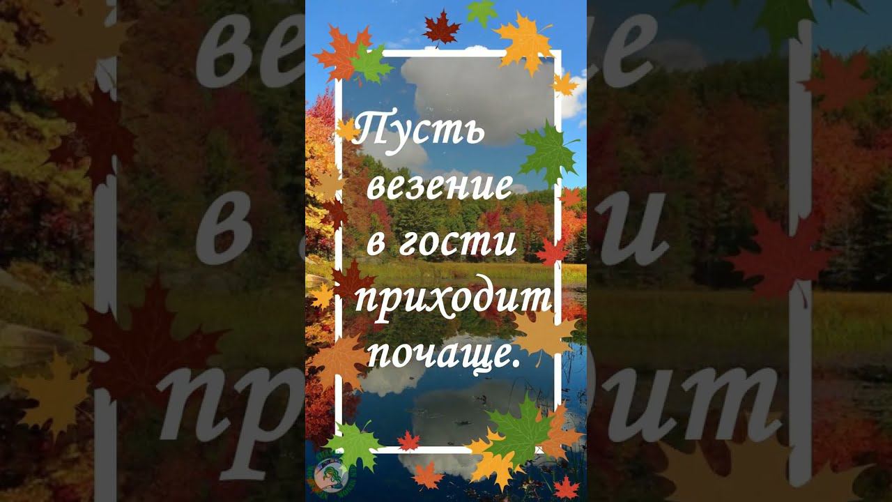 Хорошего Дня! Отличного настроения! Have a nice day and have a great mood!