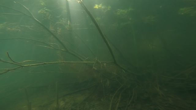 Тренировочное Погружение в Озере