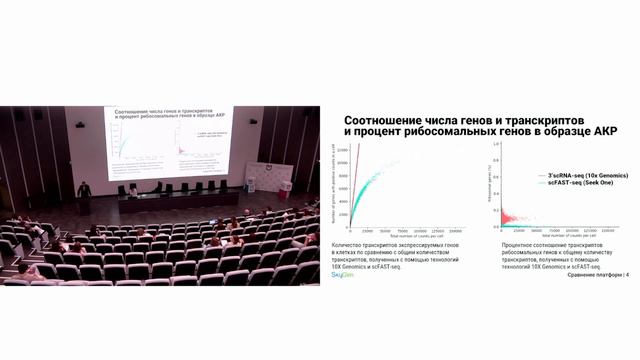 05 Сравнительный анализ данных патологии кортекса надпочечника методами scFAST-seq (Seek One)