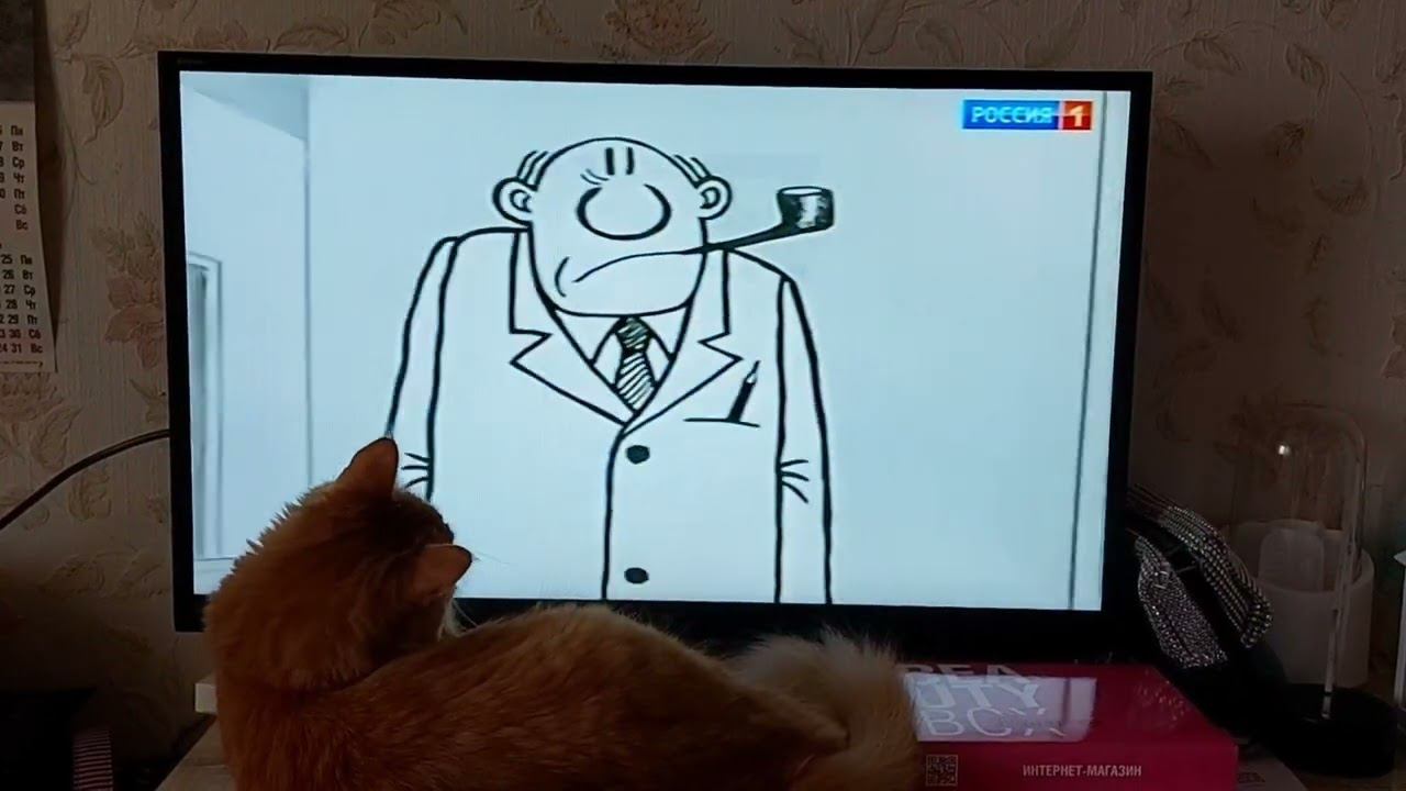 Самый преданный поклонник "Иронии судьбы"