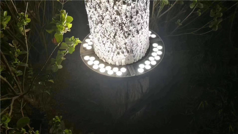 подсветка колонн и деревьев SM-BS