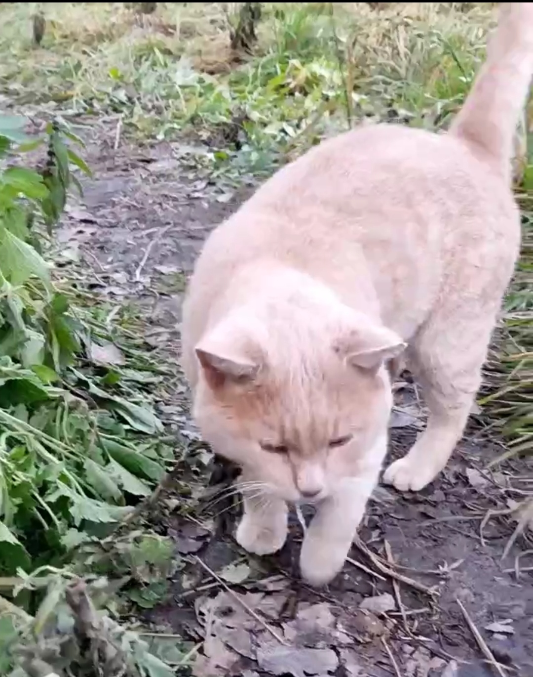 Красавчик! Handsome!