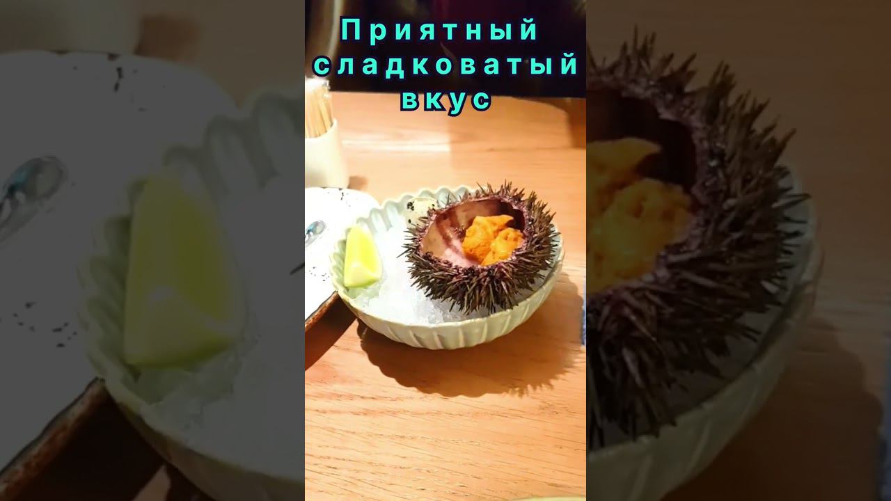 Морской еж как есть Уникальная польза для здоровья Как есть морского ежа в ресторане