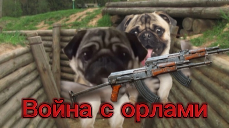 Сериал Мопсы против орлов битва с врагами! Анимация Мопсы