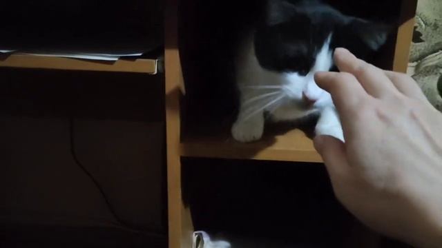 Полочка для Василия