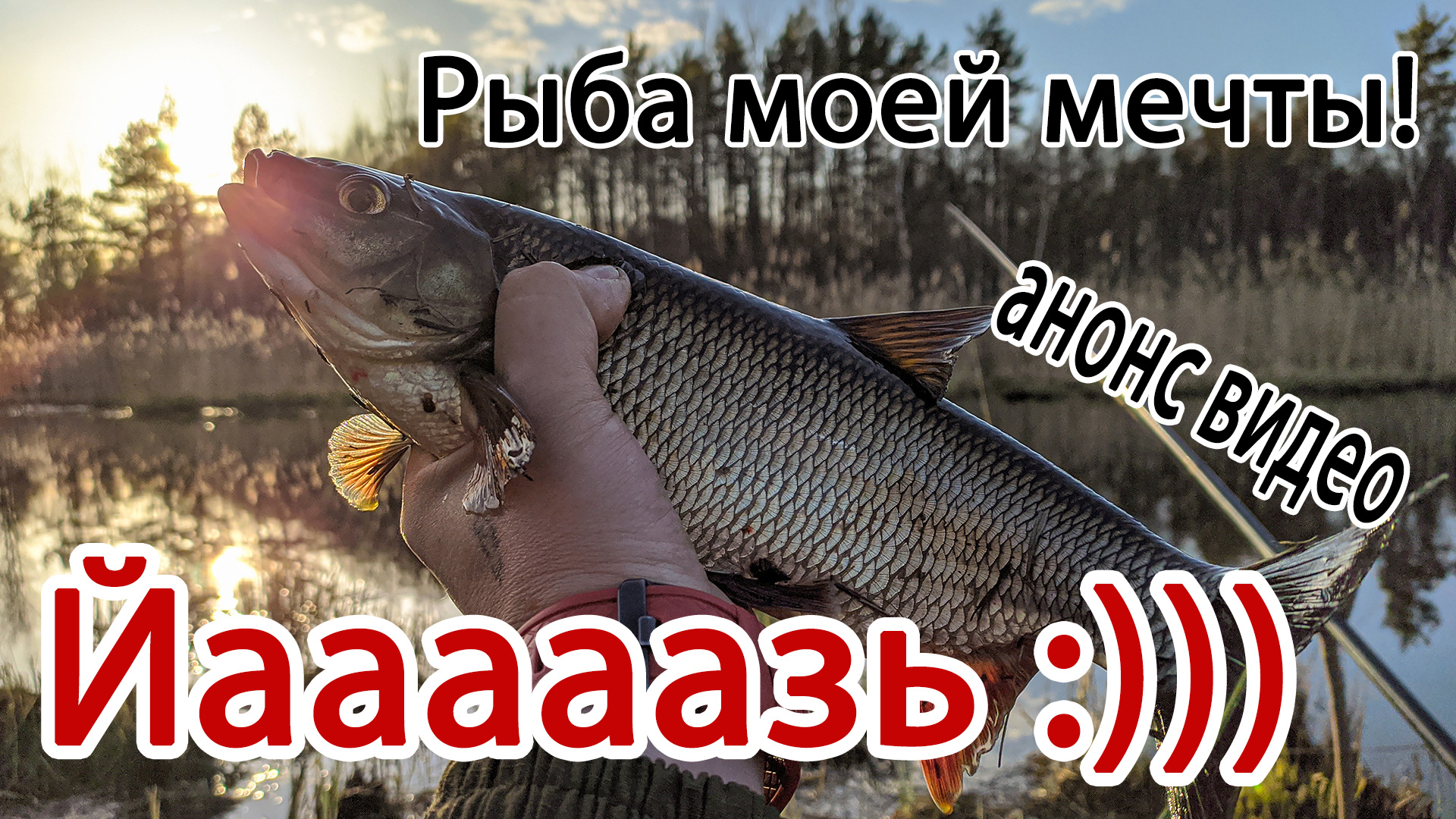 Рыба моей мечты! Йаазь!!