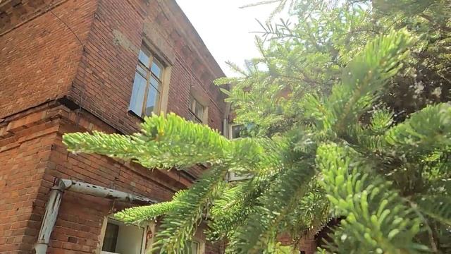 Экскурсии по Воронежу. Улица Коммунаров.