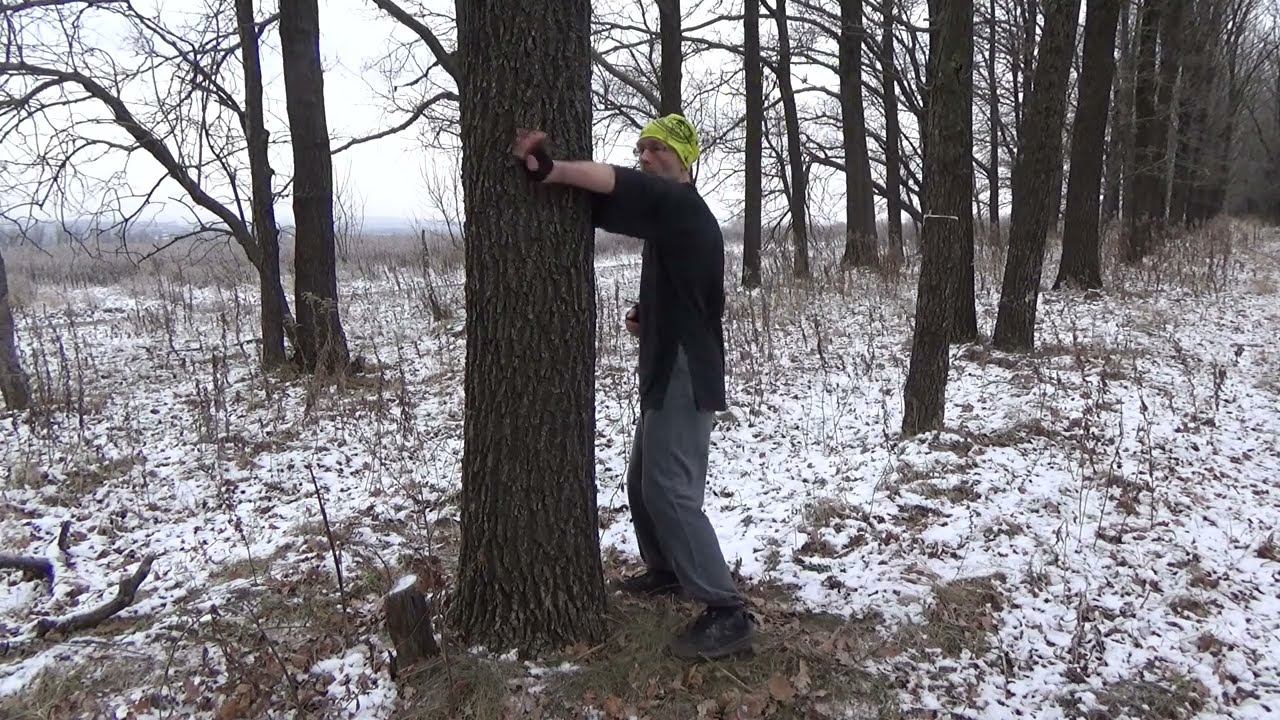 М231119-2 Жёсткие методы цигун, нарезка