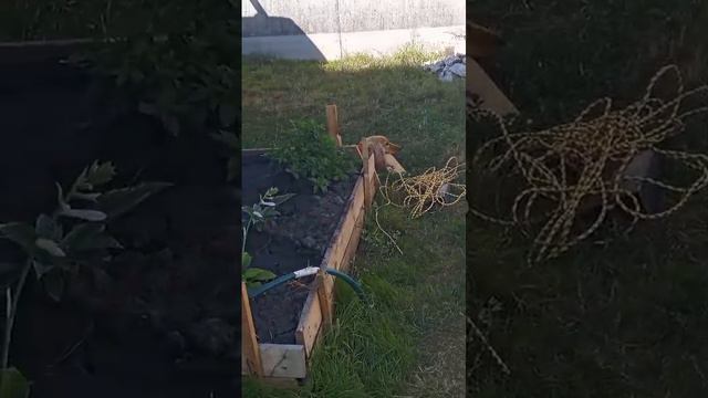 СИМА И ЕЁ ЖИЗНЬ ЧАСТЬ 10!!!