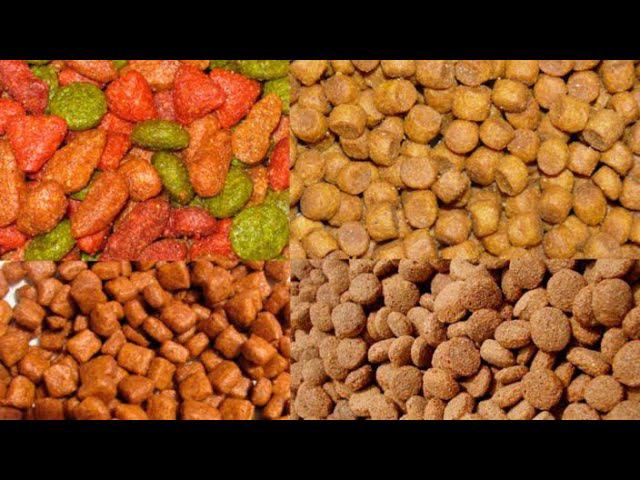 Составы бывают РАЗНЫЕ...