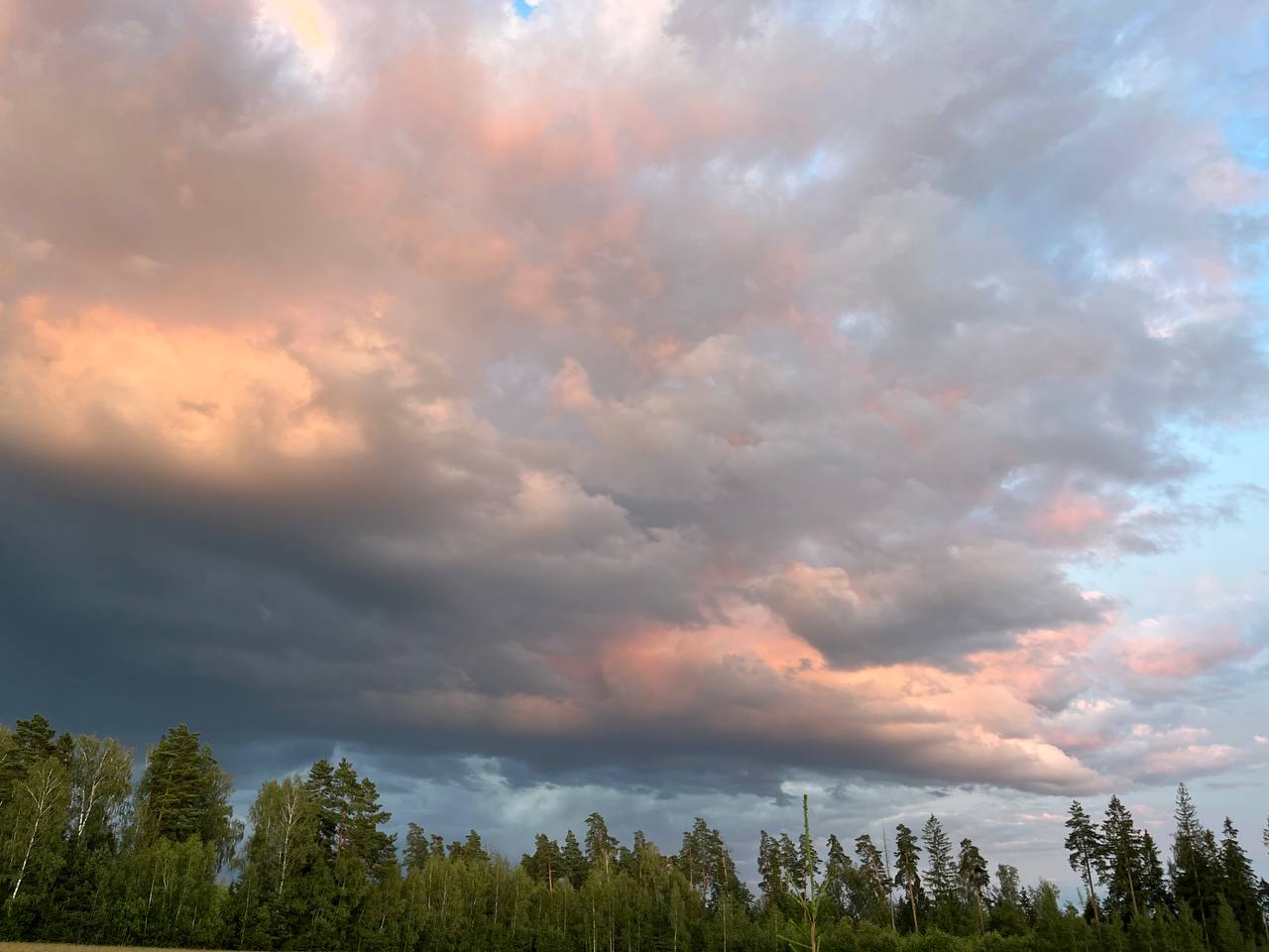 Середина лета.