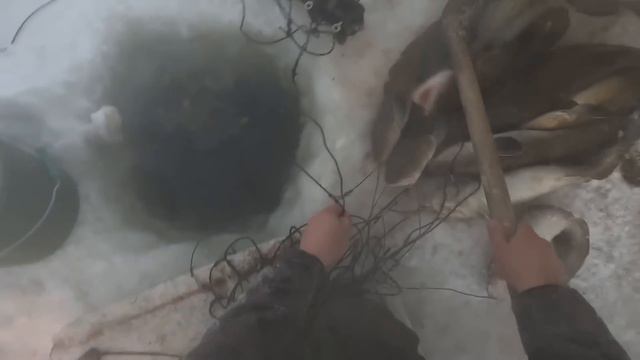 И снова мы на Енисее. Проверяем перемет в -40🥶