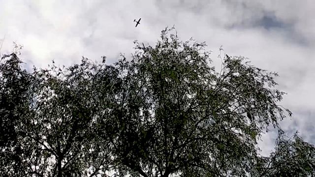 Озера на острове Кировский май 2020.mp4