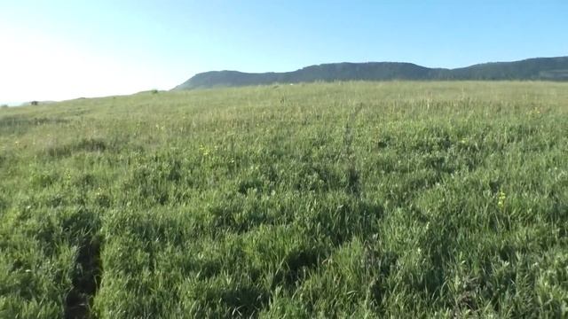 Рыбалка на Красноярском водохранилище. ч-3.mp4