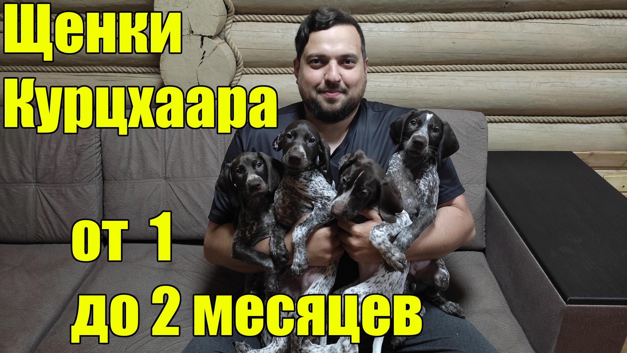 Первые месяцы жизни щенков охотничьей собаки. Курцхаар.