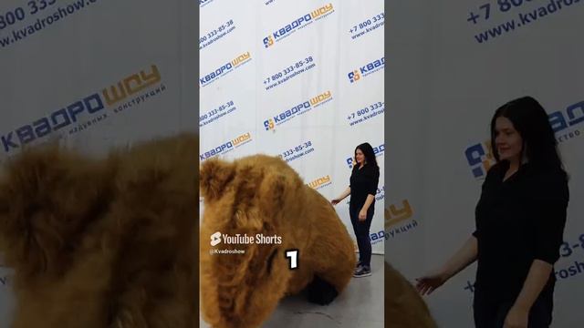 Костюм Капибара _ Надувные костюмы на заказ от компании КвадроШоу #капибара#capybara#memes#shorts