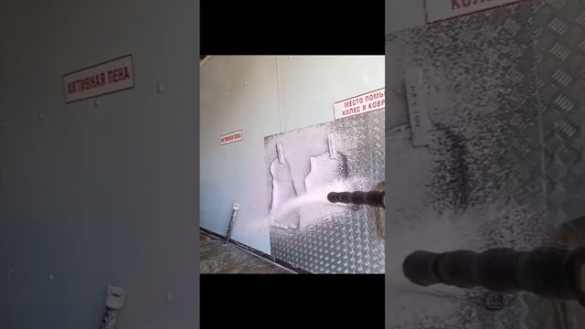 Мойка Октавии на МСО