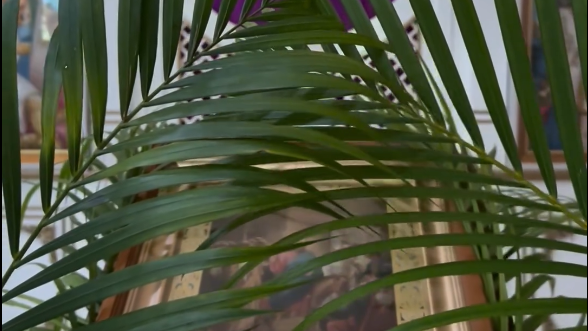 Вербное воскресенье с пальмами