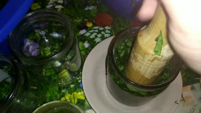 Заготовка щавеля на зиму.