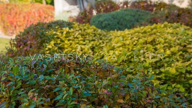 Ландшафтный дизайн от Ильи Васецкого. САД В СТИЛЕ АР-НУВО_МОДЕРН №6.mp4