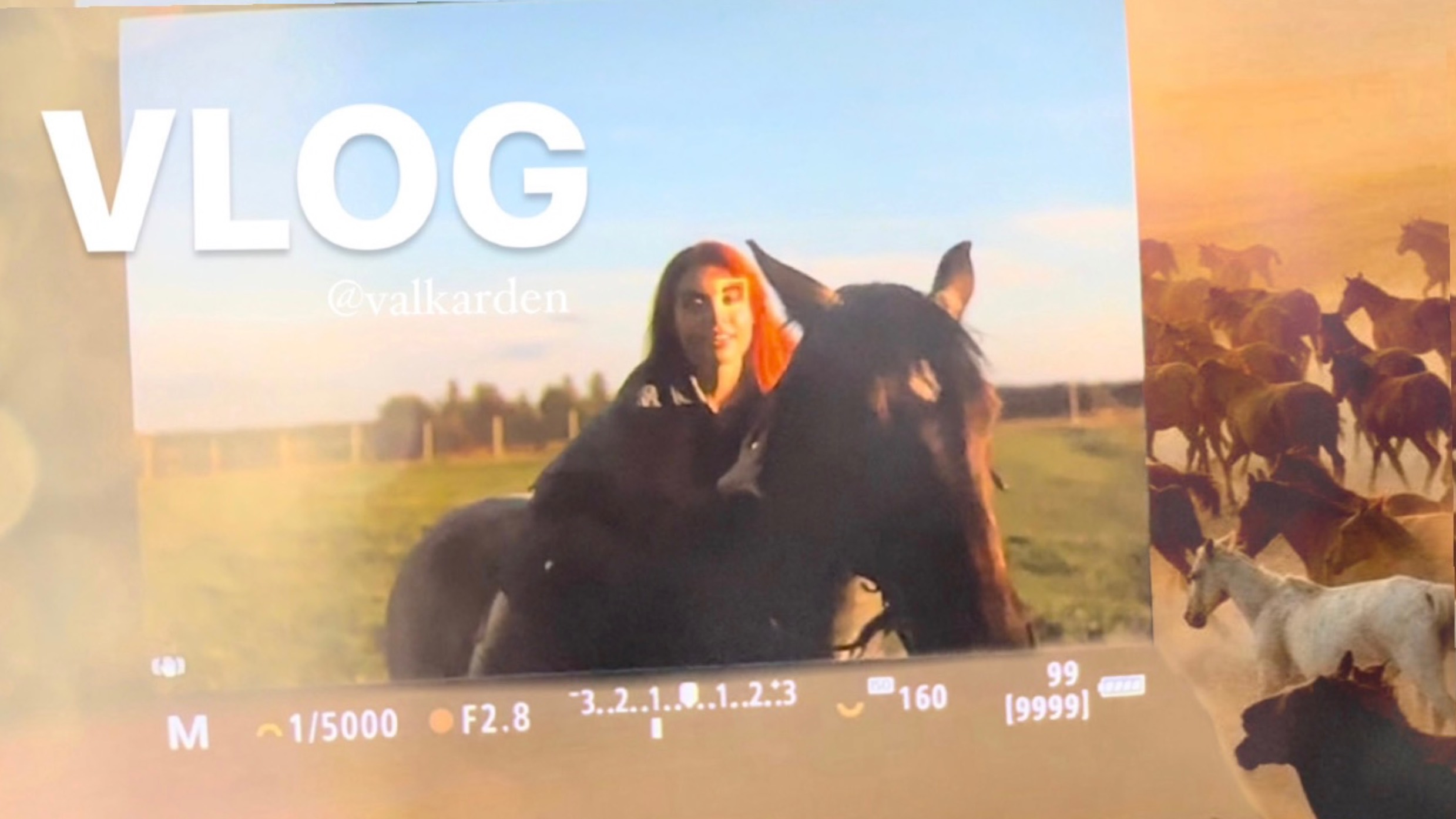 VLOG конный клуб