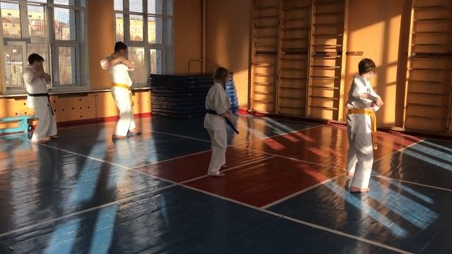 Санчин дати - Кокуцу дати с Сюто Маваси уке. Работа над центром тяжести, балансом и ширине стойки