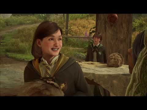 Hogwarts Legacy №18 ПРИРУЧЕНИЕ ТВАРЕЙ