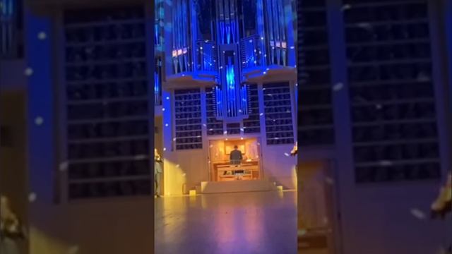 Л.Коэн — «Аллилуйя». Концерт «Саундреки на органе. От Баха до Циммера» #музыка #орган #music