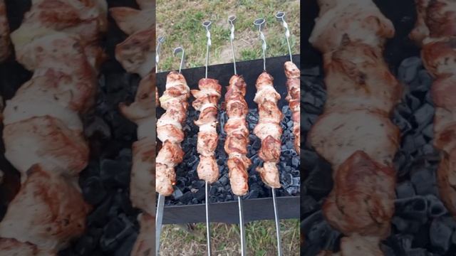 Шашлыки в городе Орле