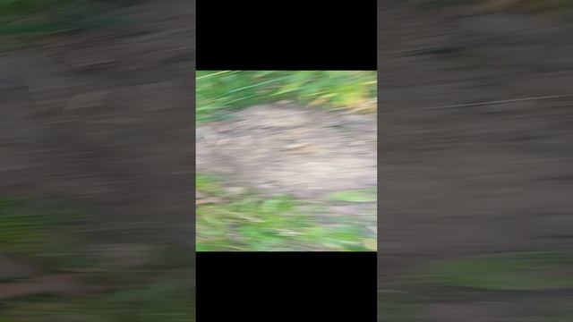 Вдоль железной дороги