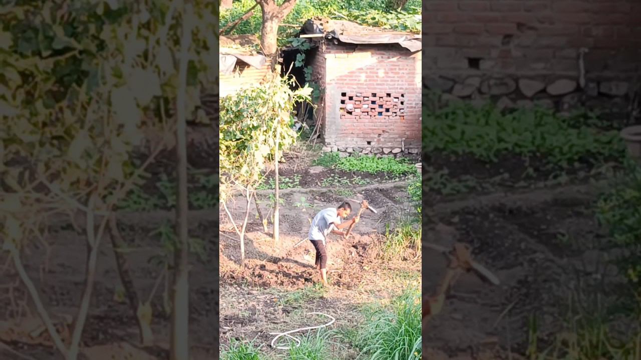 Сельский час