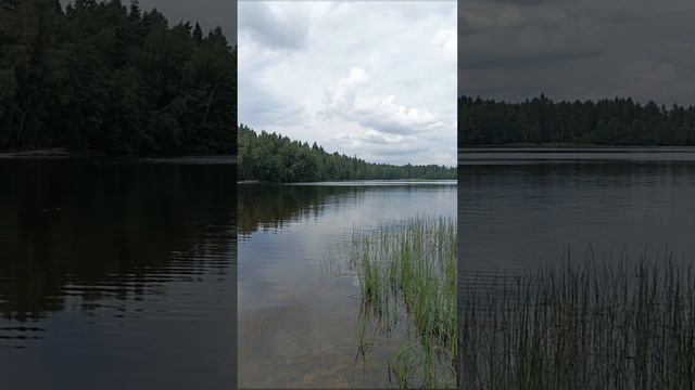 Шапки.Озеро Белое