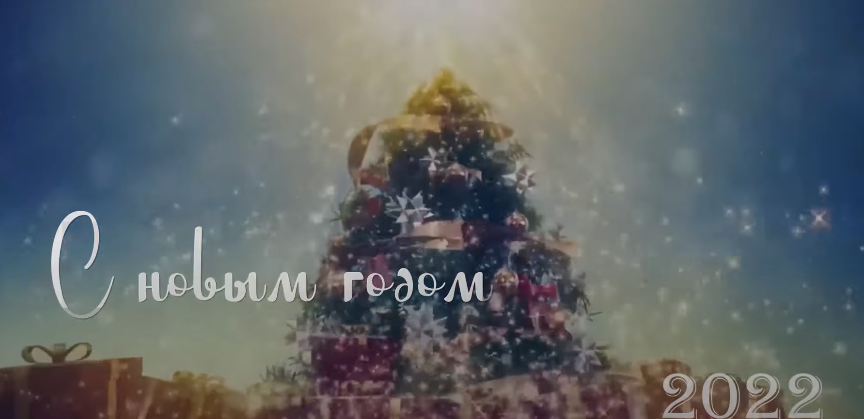 Новогодний юмористический ролик.mp4