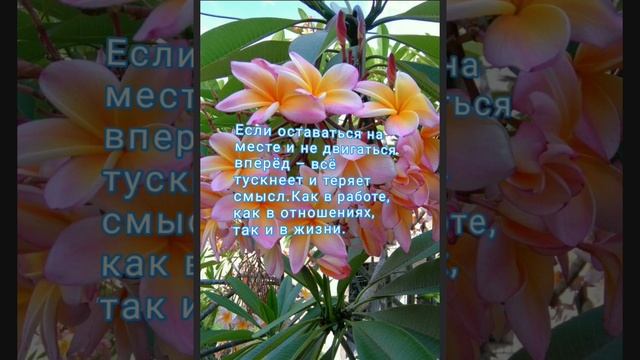 Эти цитаты изменят твою жизнь!🌟