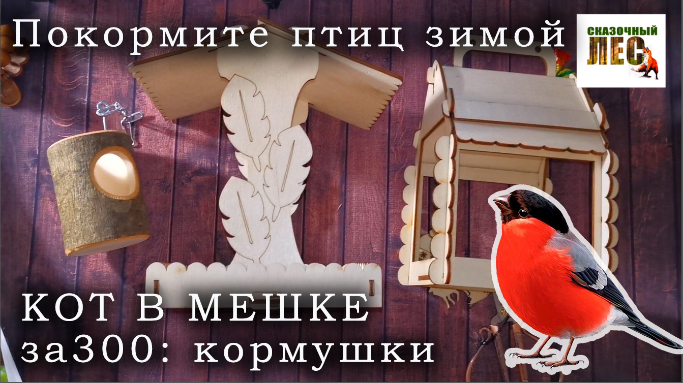 КОТ И МЕШКЕ за 300/кормушки для птиц: ГДЕ мой инженерный ум?/СКАЗОЧНЫЙ ЛЕС