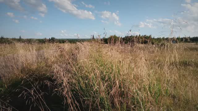 "Сказка о храброй Ясне и ветерке" В.Лиходед. Читает А.Ключук. Фото А.Ключук