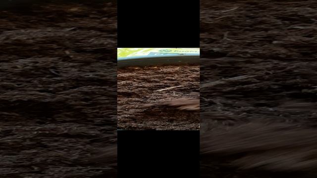 Почвобрикет из Фикспрайс