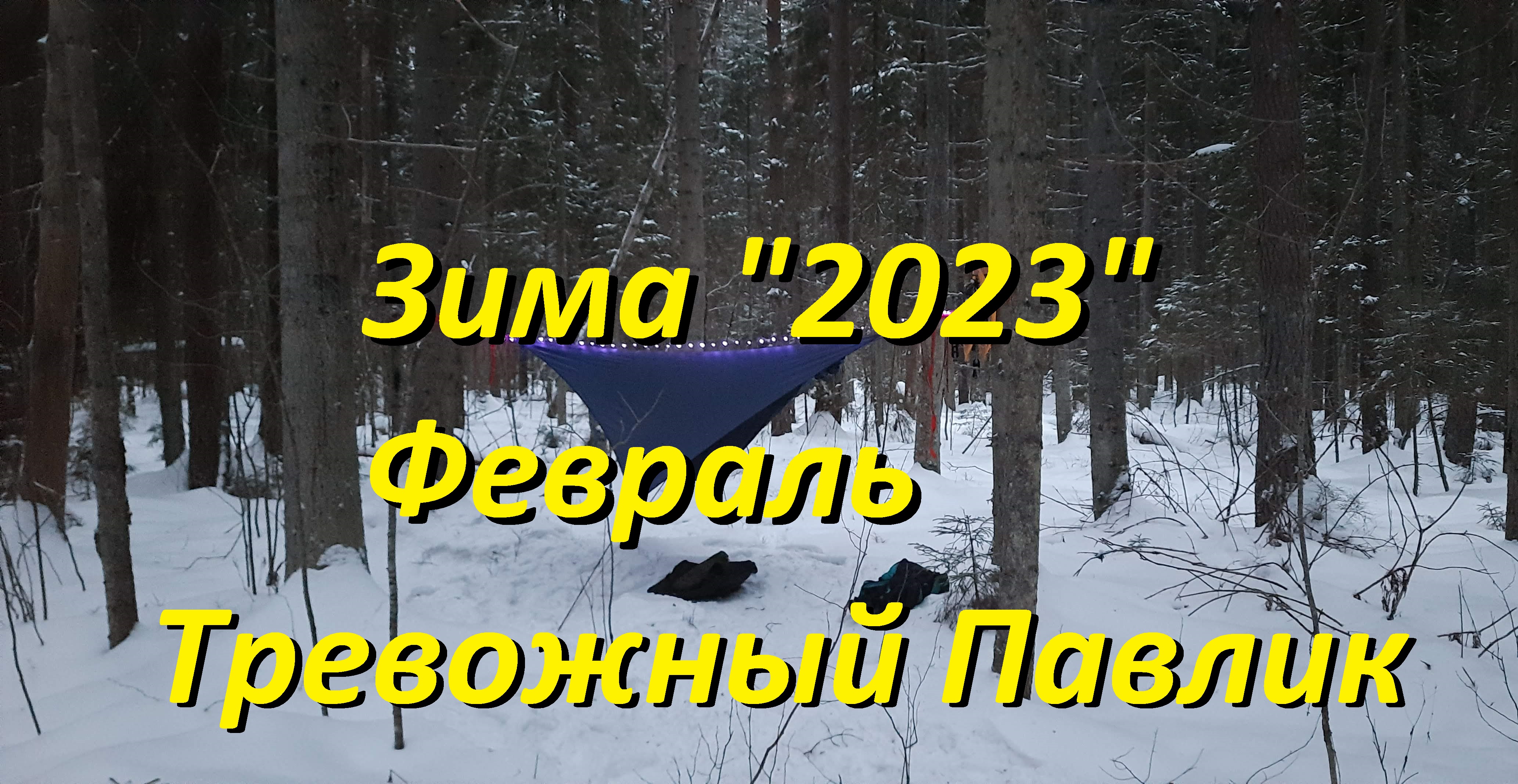 Зима I Тревожный Павлик